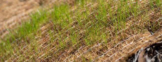 Erosion Control Matting: An Australian Buyer's Guide | Form Direct